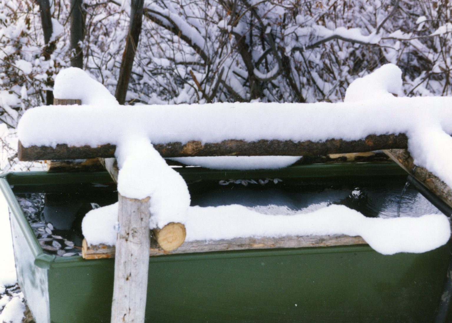 The Best Cattle Waterers for Winter - Countryside